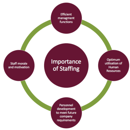 Why is staffing an important process in any organisation? - Kaizen ...